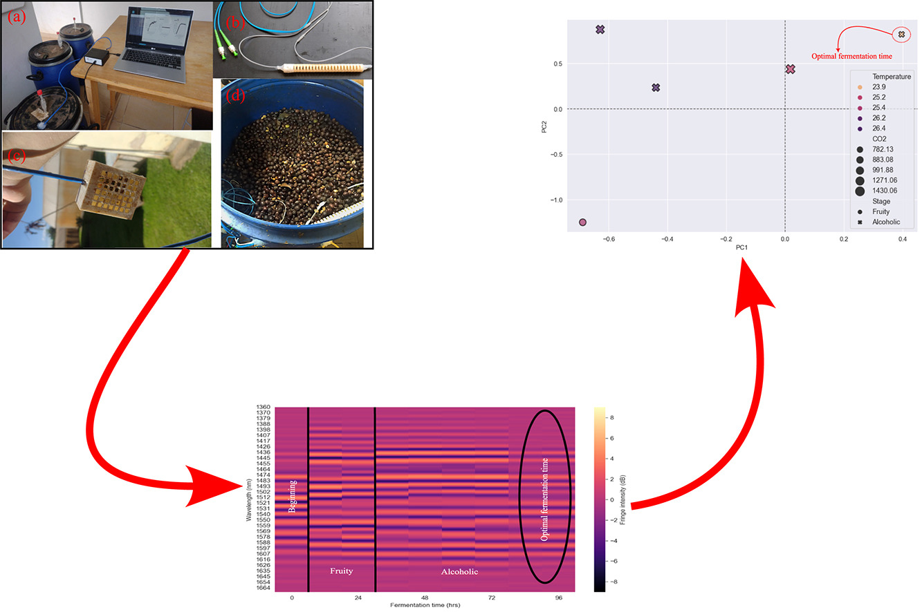 Enhanced aroma prediction in coffee fermentation through optical fiber sensor data fusion ...